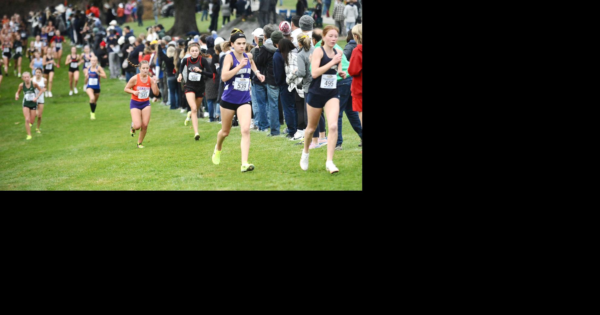 H.S. Cross Country: Local runners end season at states | Sports ...