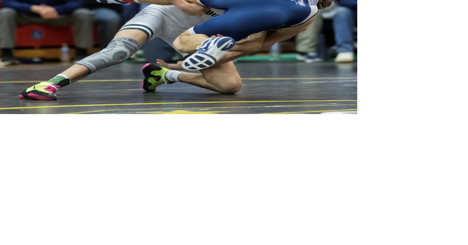 H.S. Wrestling: Tigers open districts with five semifinalists; 20 ...
