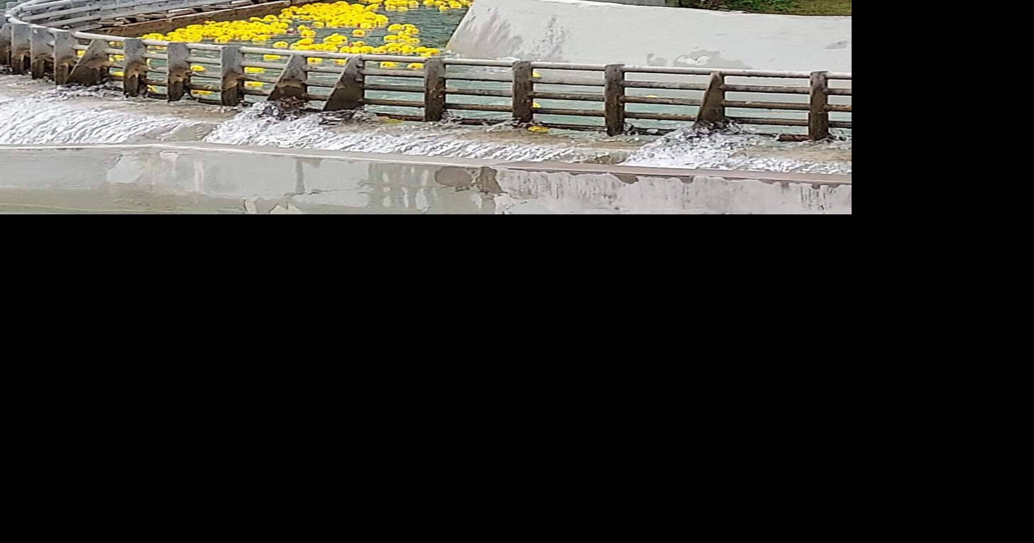 10th annual duck drop expands to include local schools | Local ...