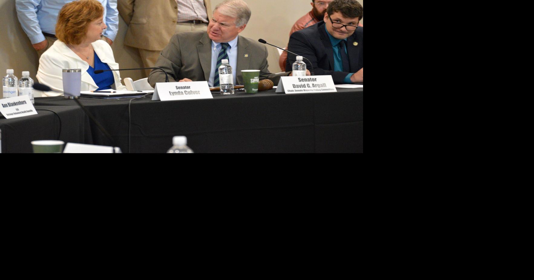 Senate Majority roundtable addresses mental health service concerns in ...