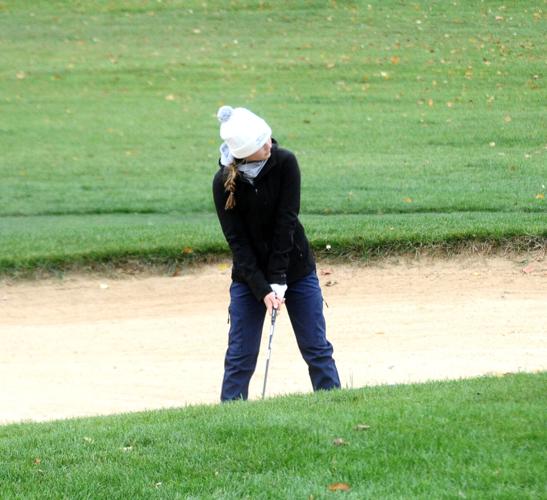 H.S. Golf: Eagle, pars help Rabb claim title | Sports | newsitem.com