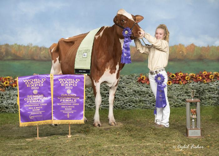 Fraley twins participate in cattle-raising competitions | Arts & Living ...