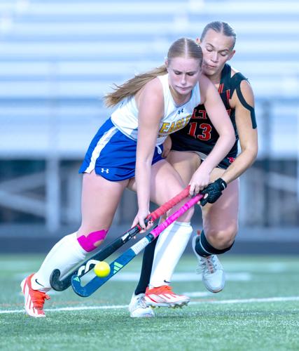 H.S. Field Hockey: Buriak, Eagles win to keep playoff hopes alive ...