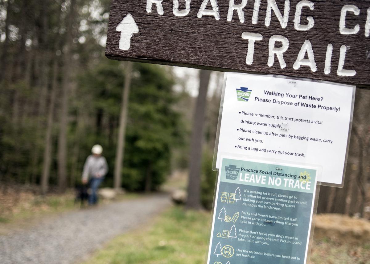 State parks, forests seeing more visitors; Weiser State Forest no ...