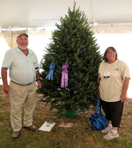 Pitman farm to furnish National Christmas tree | Local | newsitem.com