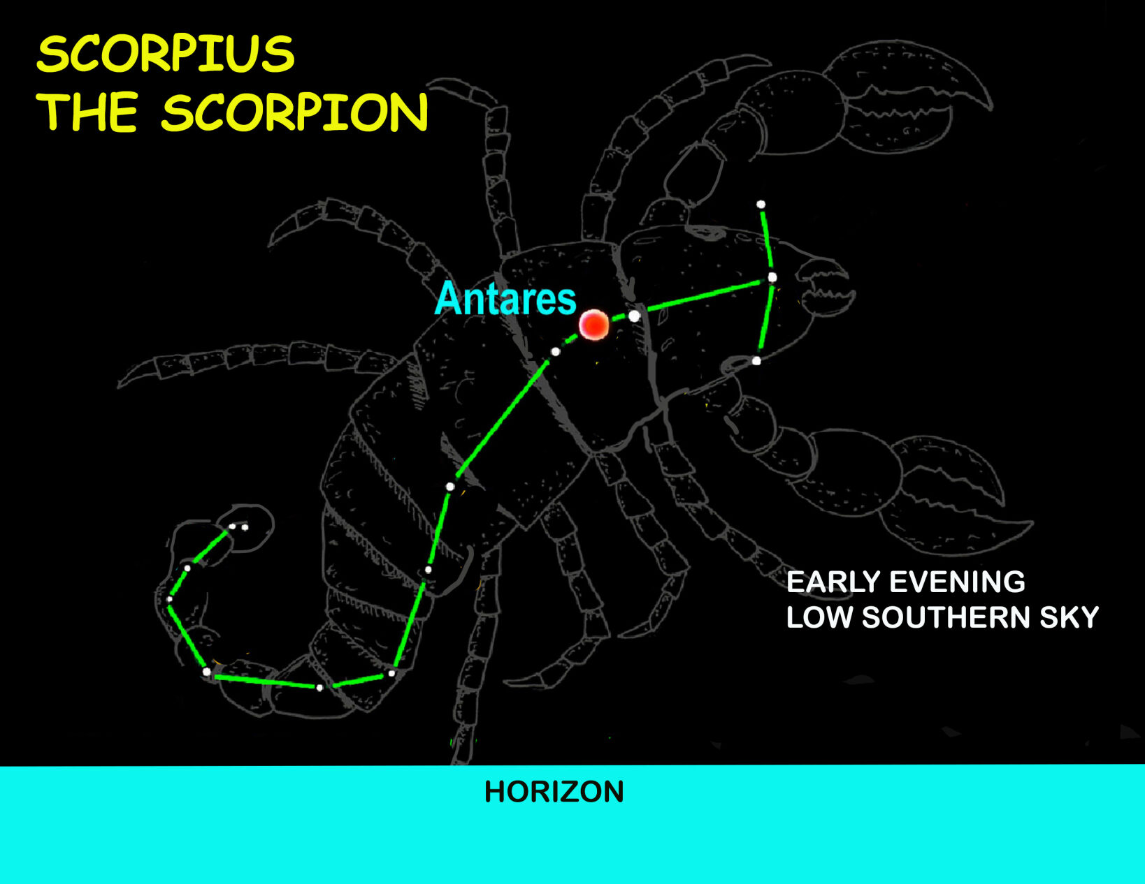 Starwatch: Scorpius, the great summer scorpion, is on the prowl in ...