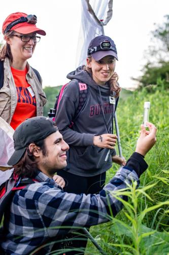 Bright skies may dim fireflies | Local | newsitem.com
