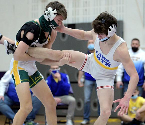 H.S. Wrestling: Line Mountain's Carl among area wrestlers advancing to ...
