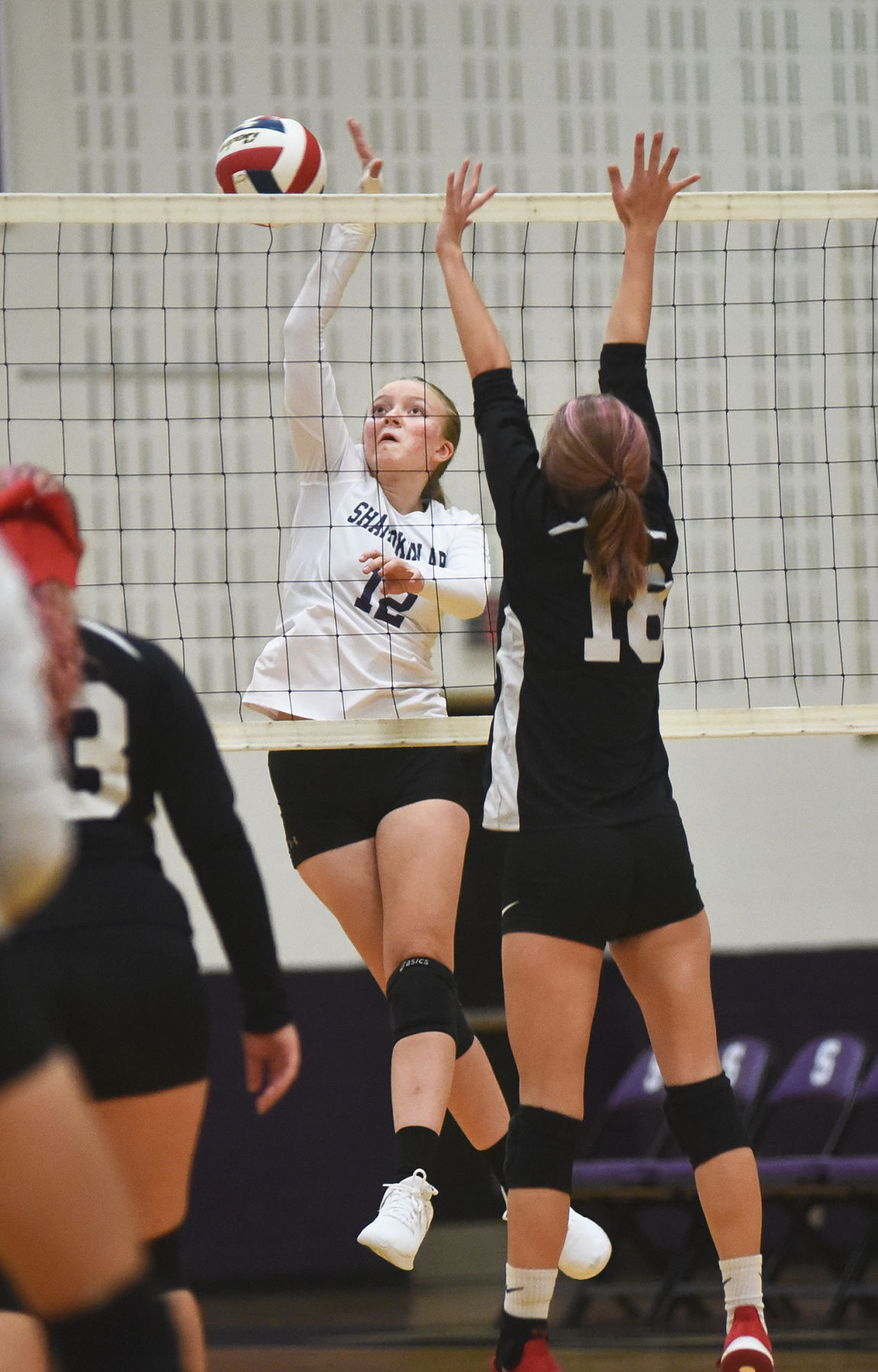 Shamokin, Lourdes facing virus as opposition during quest for playoff ...