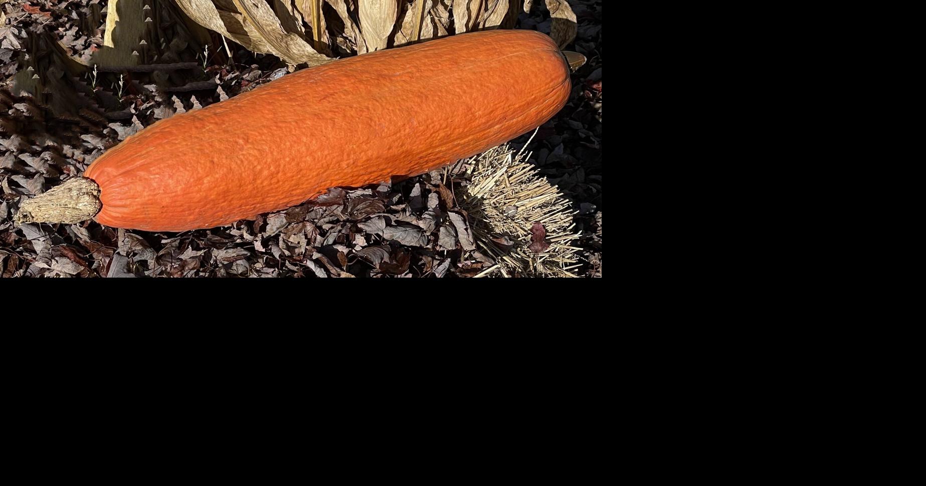Master Gardener: Tickle your taste buds this growing season with two ...