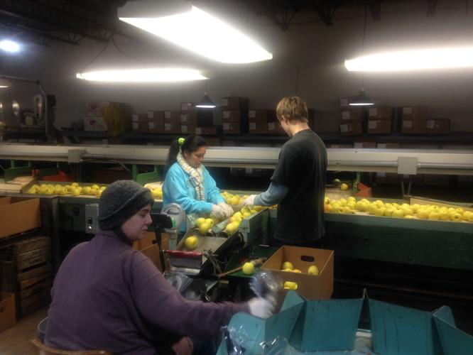 DEP officials visit Dries Orchards to view LED lighting project | Local ...