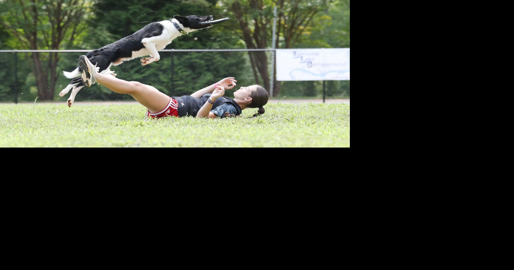 Line Mountain junior qualifies for world championship in disc dog ...