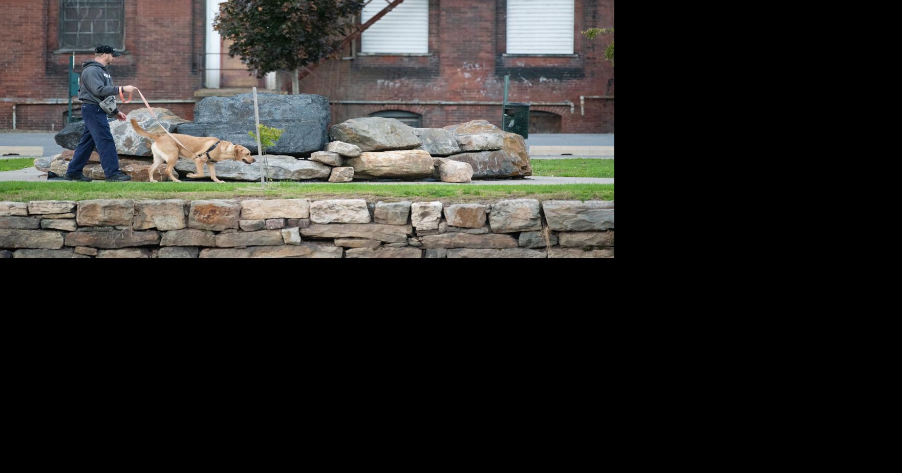 Shamokin receives $22,900 grant to develop plan for Volunteer Park ...