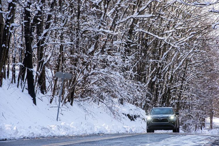Heavy, wet snow causes downed trees, wires, non-emergency lines to go ...