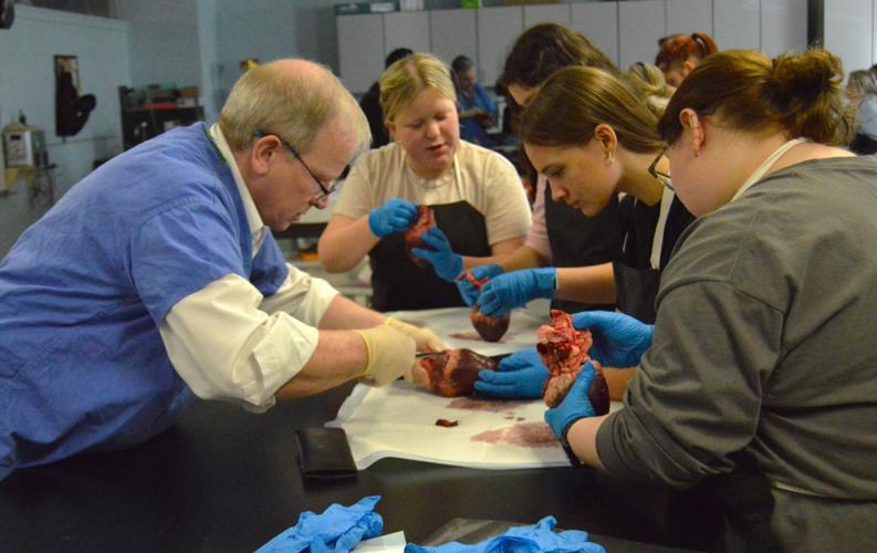 Geisinger surgeons dissect hearts with OLOL bio-med students | Local | newsitem.com