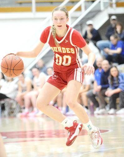 H.S. Girls Basketball: Turnovers cost Lourdes in Schuylkill League ...