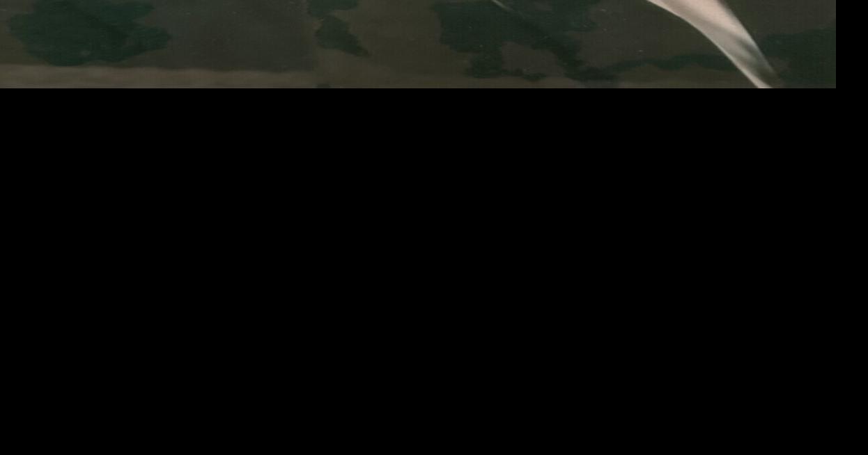 Wilbur L. Reddinger Sr. | Obituaries | newsitem.com