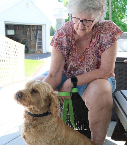 'Wonder dog' returns home after 16 months on the lam | Local | newsitem.com