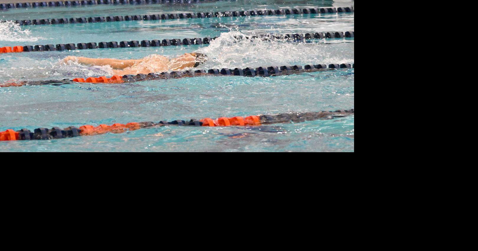 H.S. Swimming & Diving: Henz, Reck grab state medals | Sports ...