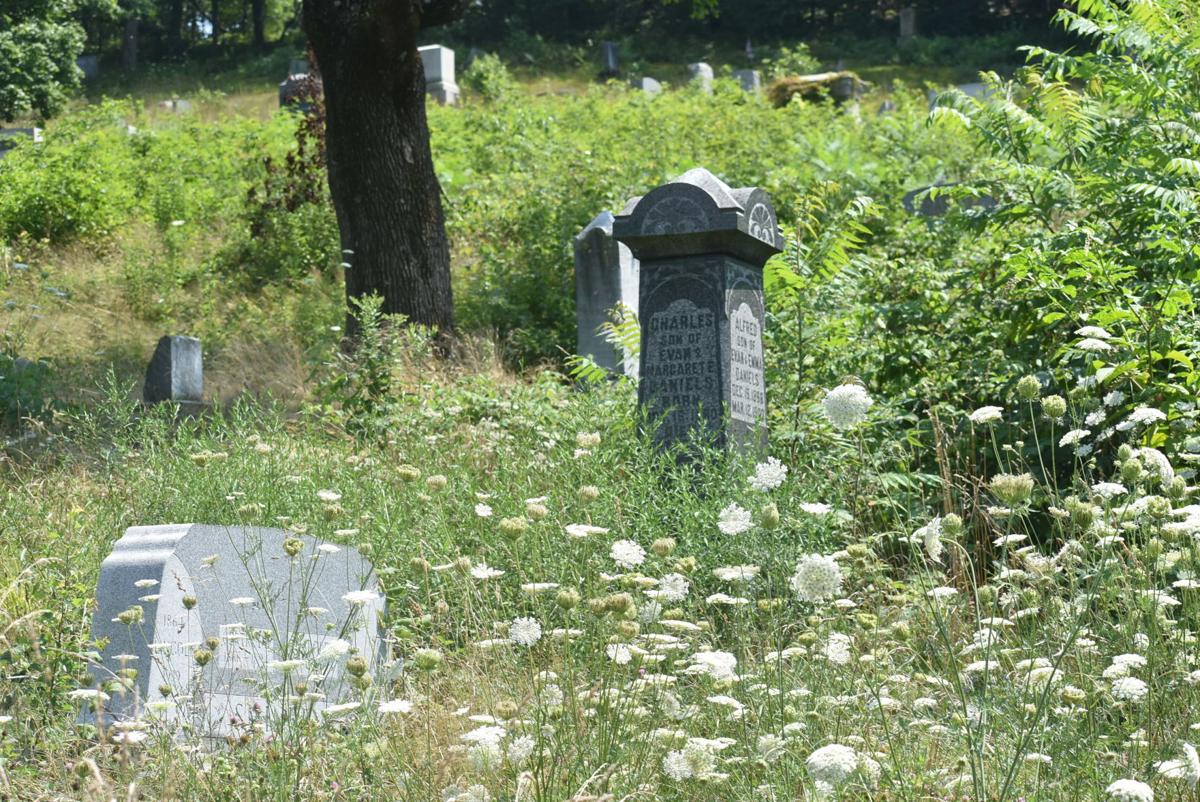 Shamokin Cemetery Blight | Local | newsitem.com