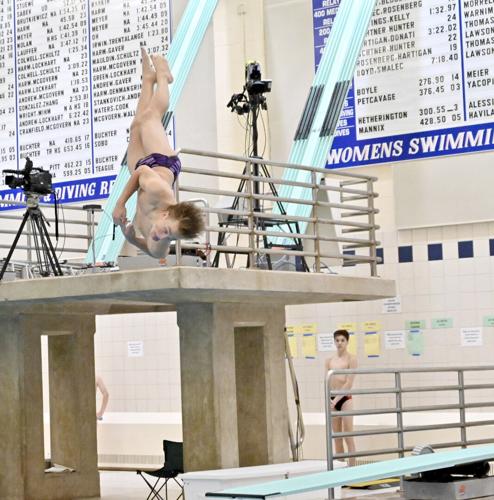H.S. Swimming & Diving: Henz, Reck grab state medals | Sports ...
