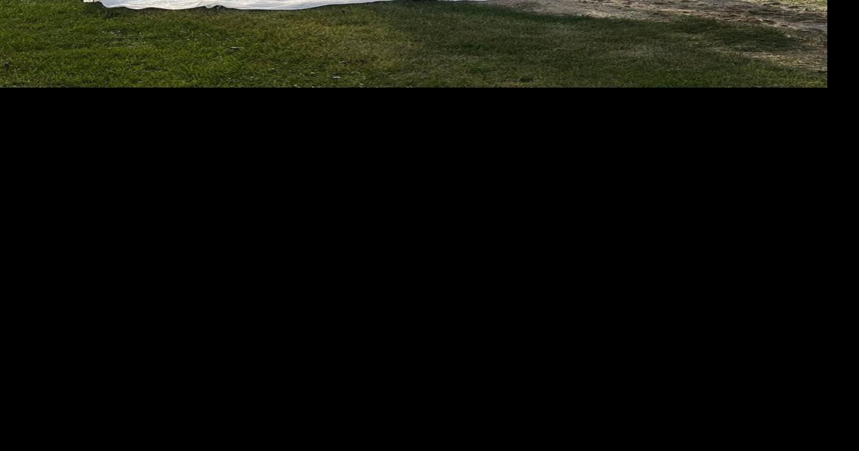 Wedding: Lentini — Mirarchi | Weddings | newsitem.com