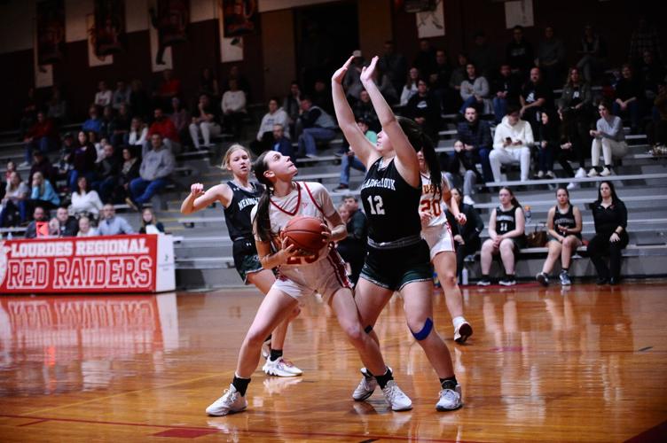 H.S. Girls Basketball: Defense, rebounding push Lourdes by Meadowbrook ...