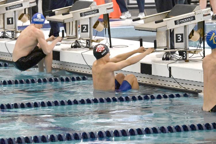 H.S. Swimming & Diving: Henz, Reck grab state medals | Sports ...