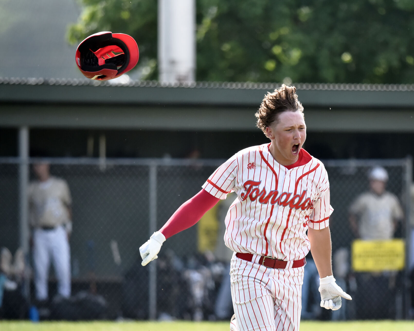 H.S. Baseball: Mount Carmel set for state championship game against ...