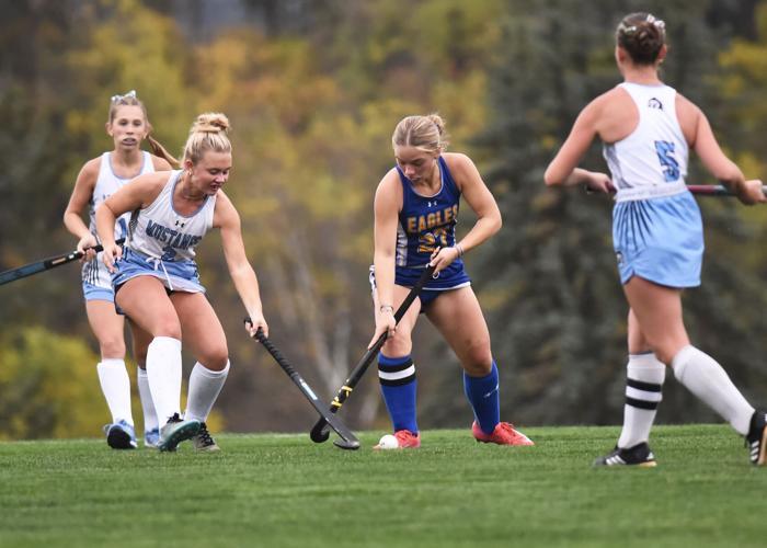 H.S. Field Hockey: Shutt scores early to lift Line Mountain in playoff ...