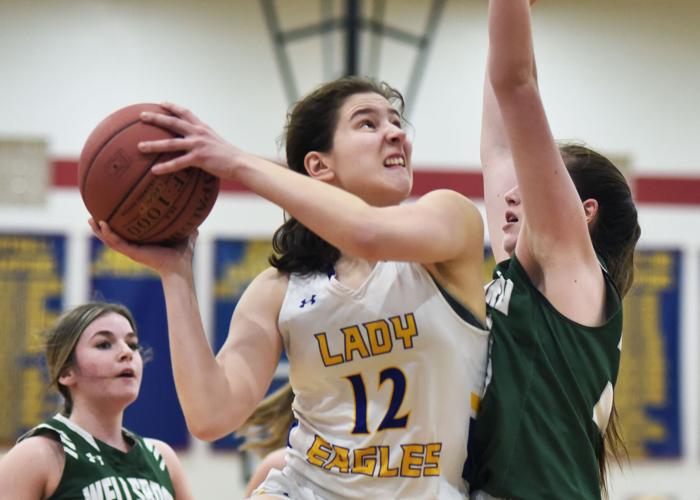 H.S. Girls Basketball Preview: Eagles revamped after district berth ...