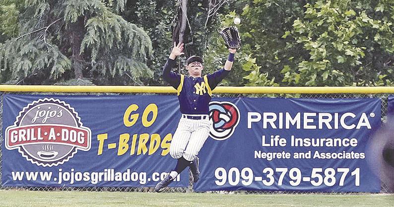 YHS baseball team, Jeff Stout finalize era by going out swinging ...