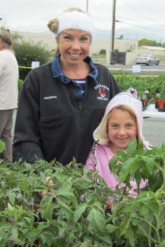 Colossal Tomato and Pepper Plant sale gets a big response | News ...