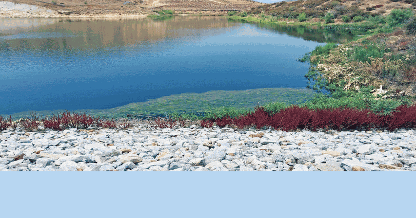 California algae issues observed in local water supplies | Local News ...