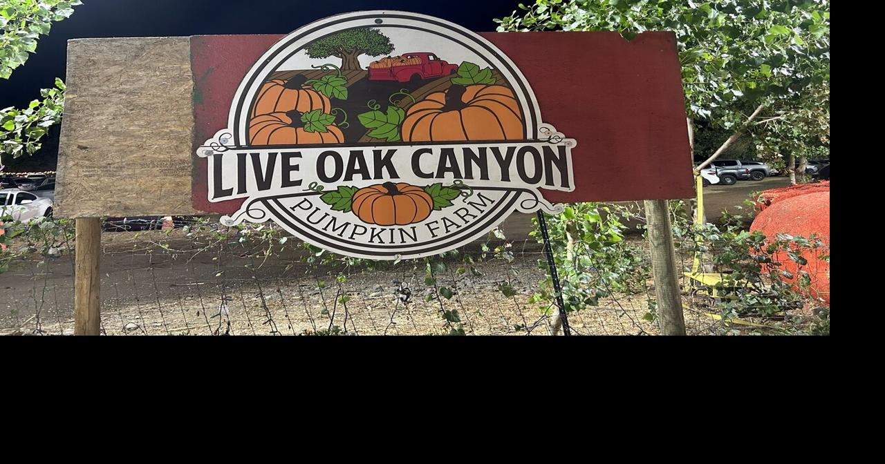 Pumpkin season begins at Live Oak Canyon Pumpkin Patch | News ...