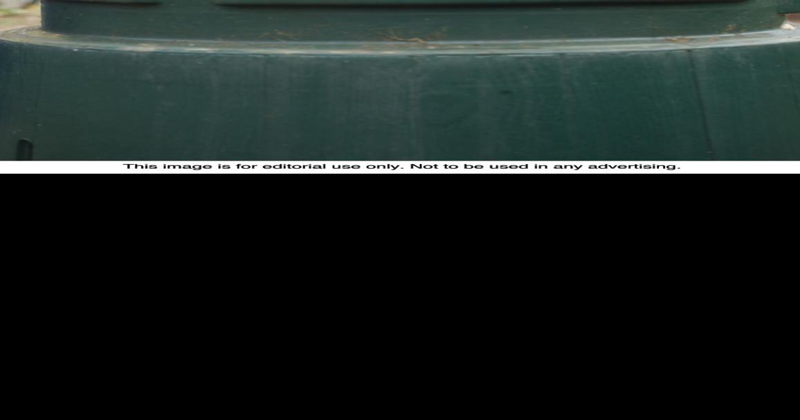 What can and cannot be composted | Local News | newsmirror.net