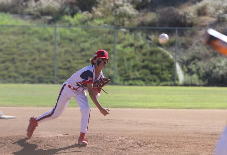 Yucaipa little league teams win district | Online Features | newsmirror.net