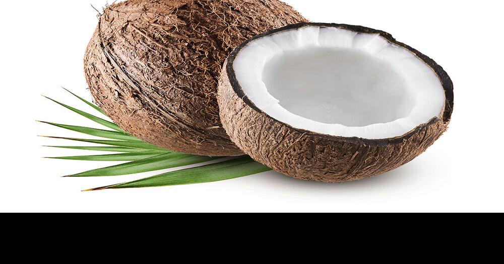 Today is National Coconut Day | News | newsmirror.net