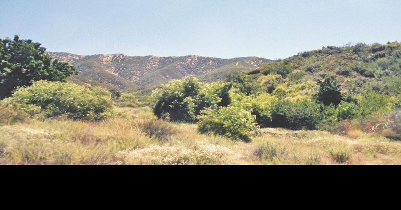 Lazer Broadcasting finally gets a Conditional Use Permit for its tower ...