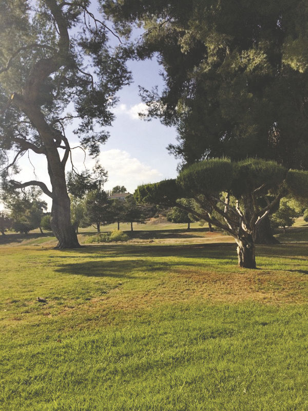 No plans to reopen Calimesa Country Club | Local News | newsmirror.net