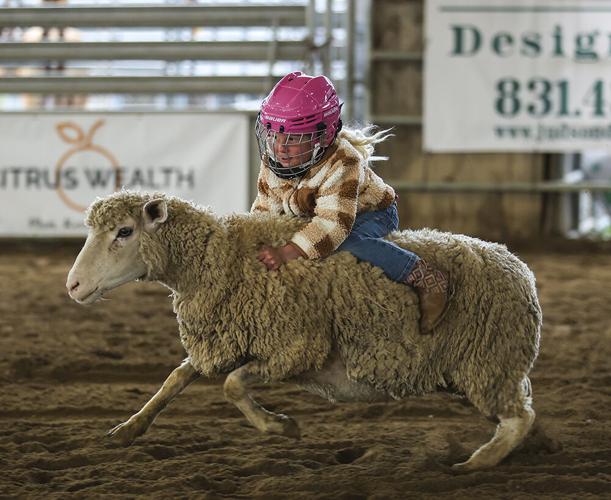 Yucaipa’s successful Rodeo unstoppable in rain | News | newsmirror.net