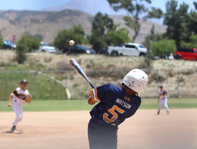 Yucaipa little league teams win district | Online Features | newsmirror.net