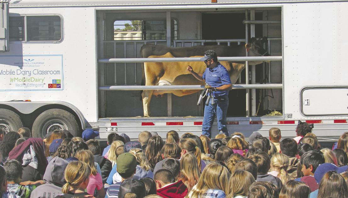 Wildwood students meet a cow up close and personal | Schools ...