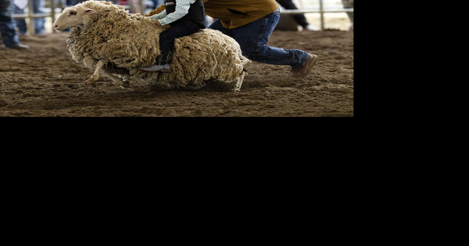 Yucaipa Rodeo | Entertainment | newsmirror.net