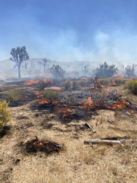 Joshua Tree Fire Burns 150 Acres | News | newsmirror.net