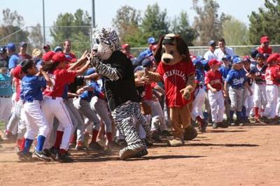 Yucaipa celebrates 50 years of baseball | News | newsmirror.net
