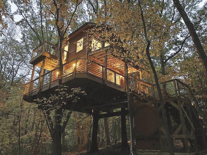 Treehouse in Hillsborough | | newsoforange.com