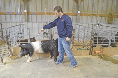 State Fair flair: Gray Palmer is a winner, but he’s never been one to ...