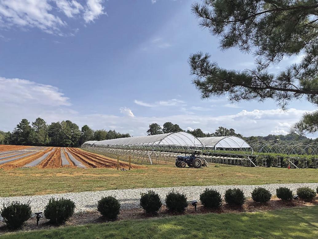 Growing concerns: Lawsuit alleges misdeeds at Eno River Farm ...