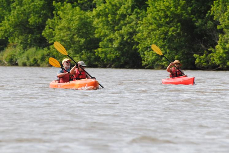 Going with the flow: kayaking the Haw River trail | Forty Eighty-Five ...